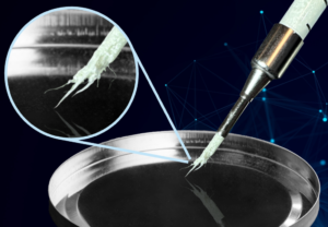 OsteoFlo® HydroFiber™ - SurGenTec Graftgun®